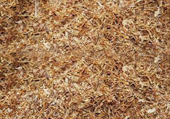 Shah Premium Tobacco International